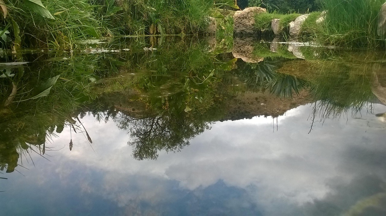 Lac Eau La Nature - Photo gratuite sur Pixabay - Pixabay