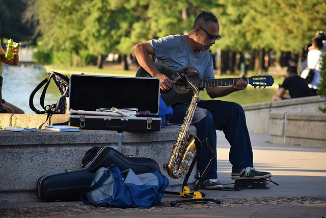 Page 5 - 20,000+ Free Street Musician & Musician Images - Pixabay