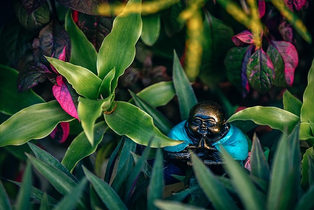 5+ Free Plaja Canggu & Bali Images - Pixabay