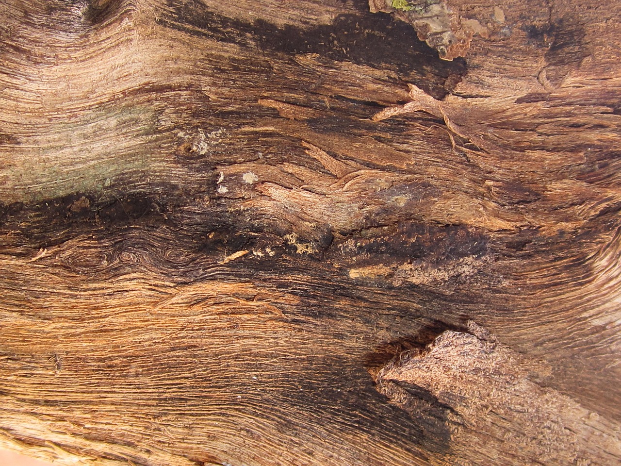 Holz Textur - Kostenloses Foto auf Pixabay - Pixabay