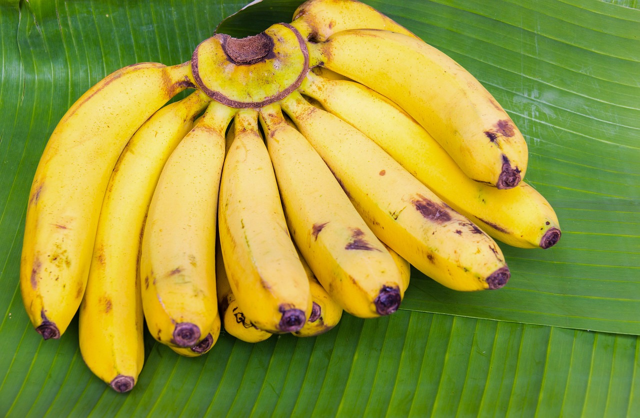 Bananas Fruits Food - Free photo on Pixabay - Pixabay