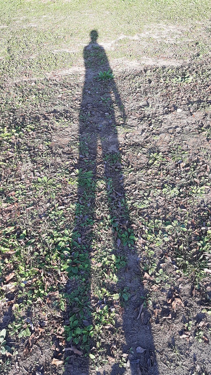 Shadow Ground Soil Mechanics - Free photo on Pixabay - Pixabay