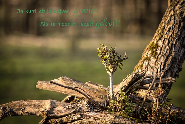 Grandir Foi Inspiration - Photo gratuite sur Pixabay - Pixabay