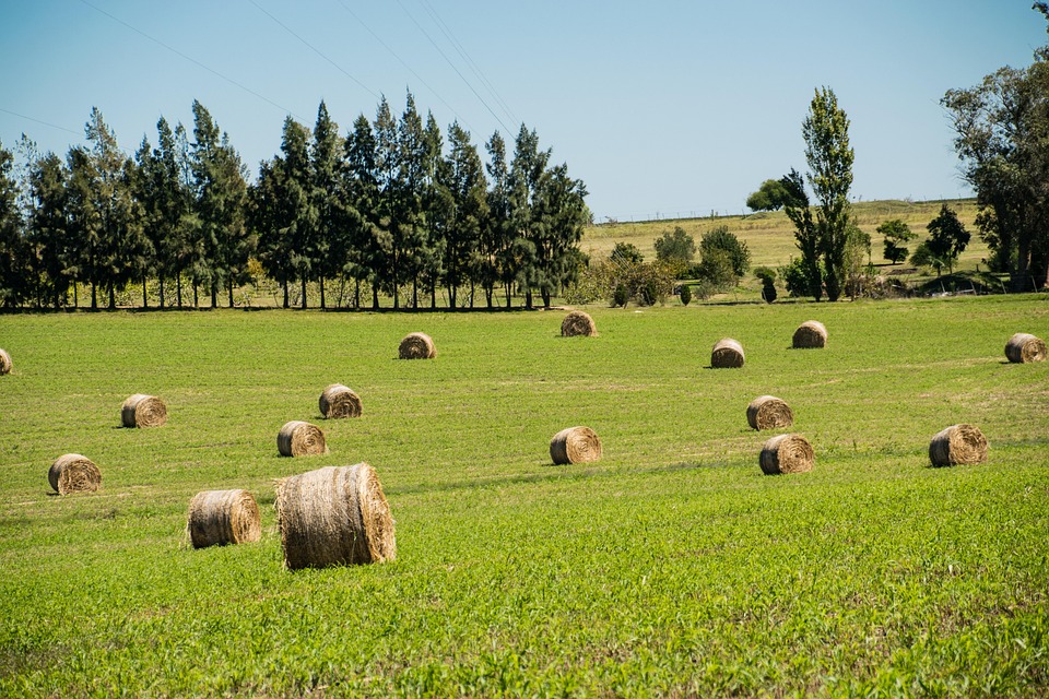 Hay Pasture Roll - Free photo on Pixabay - Pixabay