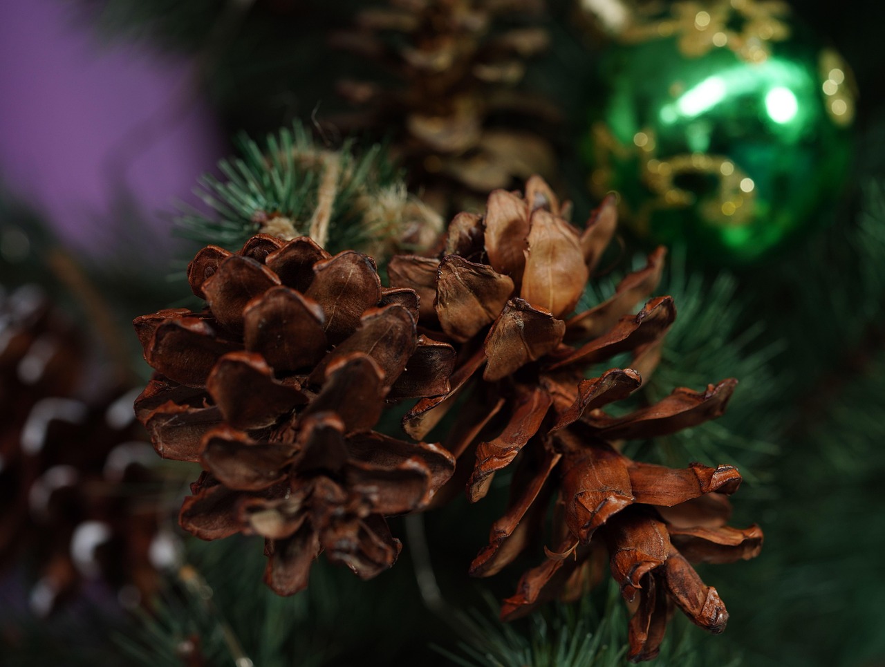 Pine Cone Christmas Decoration - Free photo on Pixabay - Pixabay