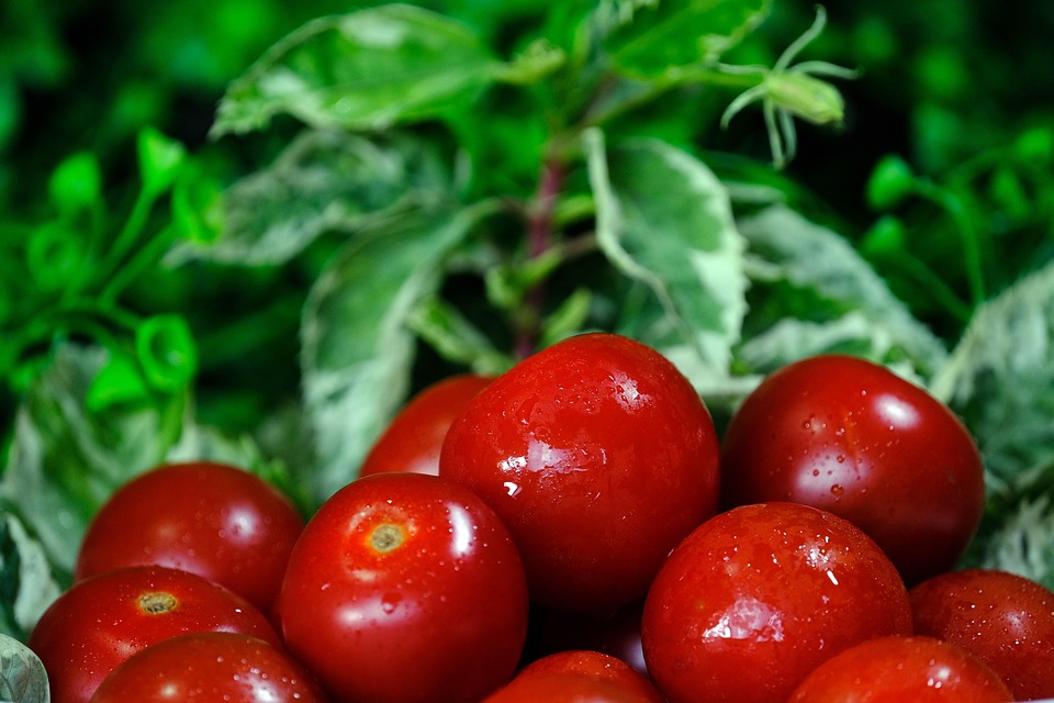 Tomatoes Vegetables Food - Free photo on Pixabay - Pixabay