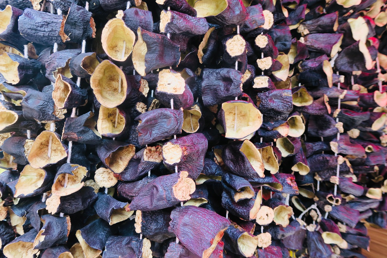 Aubergine Vegetable Dried - Free photo on Pixabay