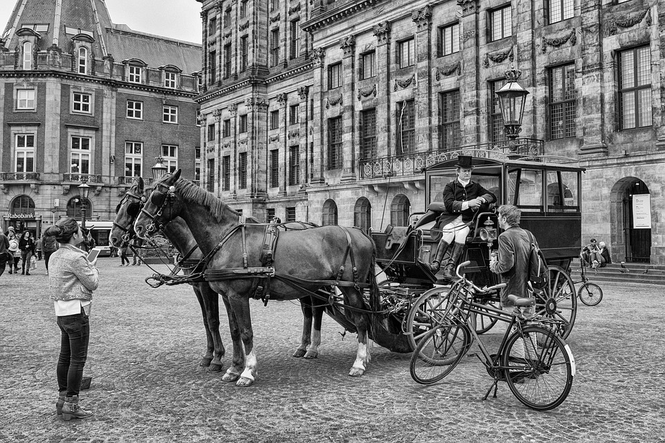 Horse Carriage Driver - Free photo on Pixabay - Pixabay