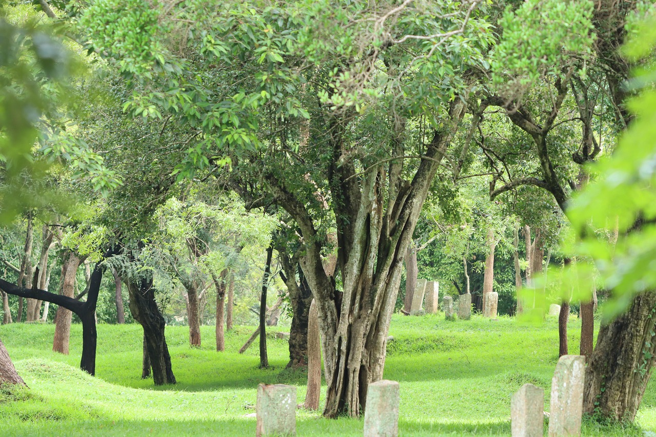 Niwanthaka Chethiya Anuradhapura - Foto gratuita no Pixabay - Pixabay