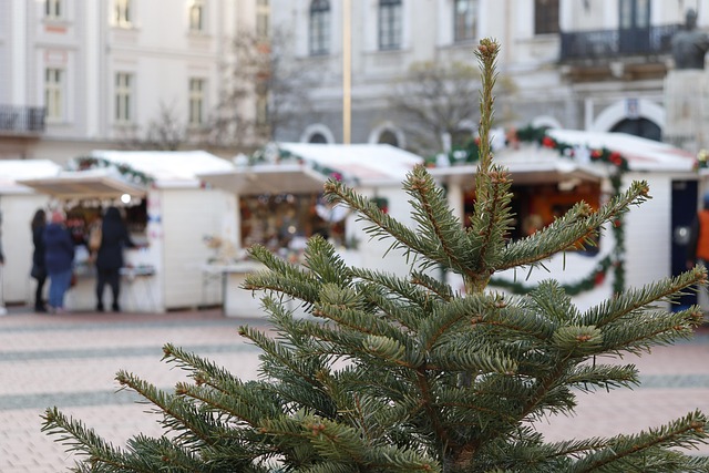 Christmas Market Tree - Free photo on Pixabay