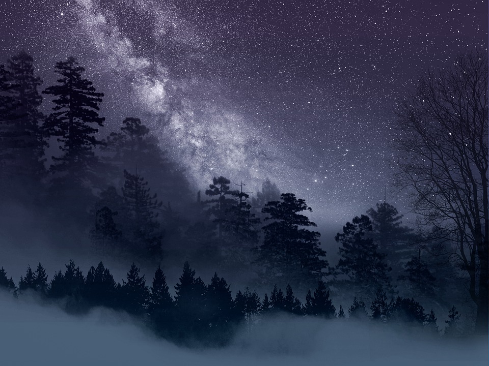 Bosque Tumblr Con Estrellas