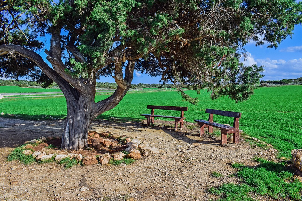 Fa Pad Park Vidéki - Ingyenes fotó a Pixabay-en
