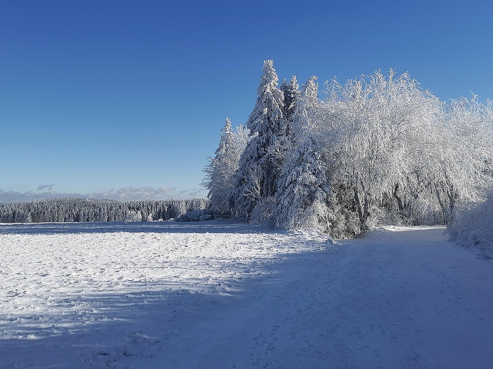 Winter Landscape Snow - Free photo on Pixabay - Pixabay