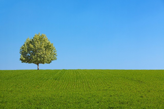 10,000+ Free 4K Screensaver & Beautiful Wallpaper Images - Pixabay