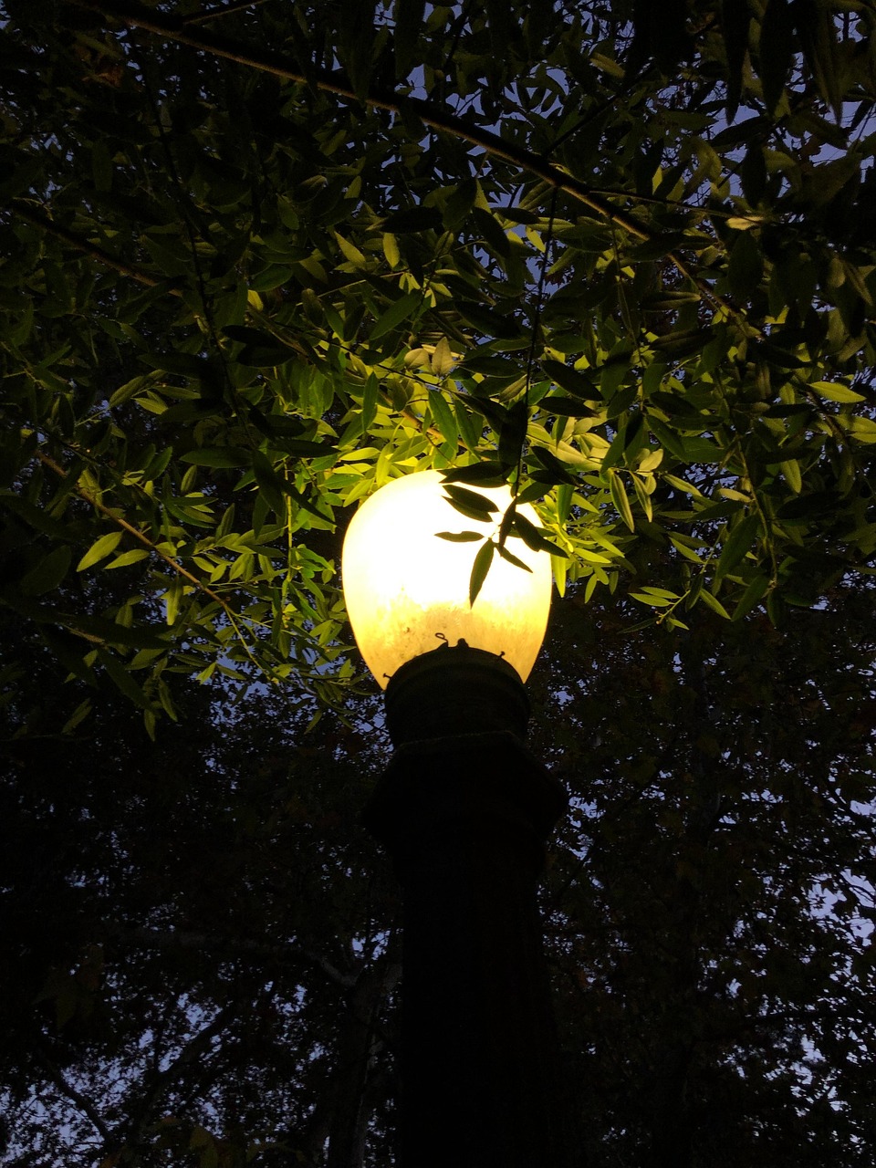 Night Lamp City - Free photo on Pixabay - Pixabay