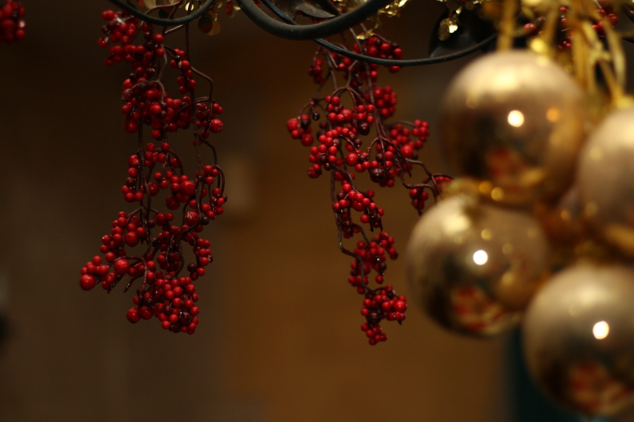 Hari Natal Dekorasi Bunga - Foto gratis di Pixabay - Pixabay