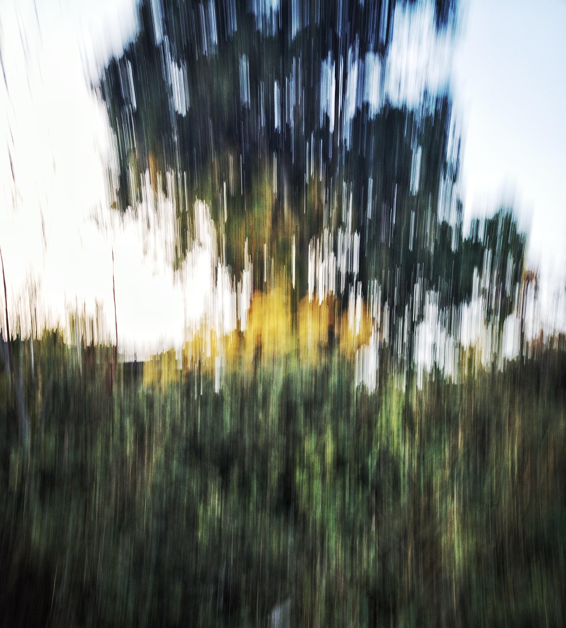 Tree Nice - Free photo on Pixabay - Pixabay