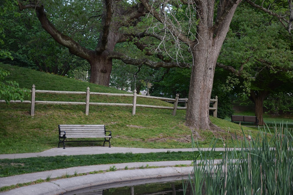 Park Nature Bench Free Photo On Pixabay Pixabay