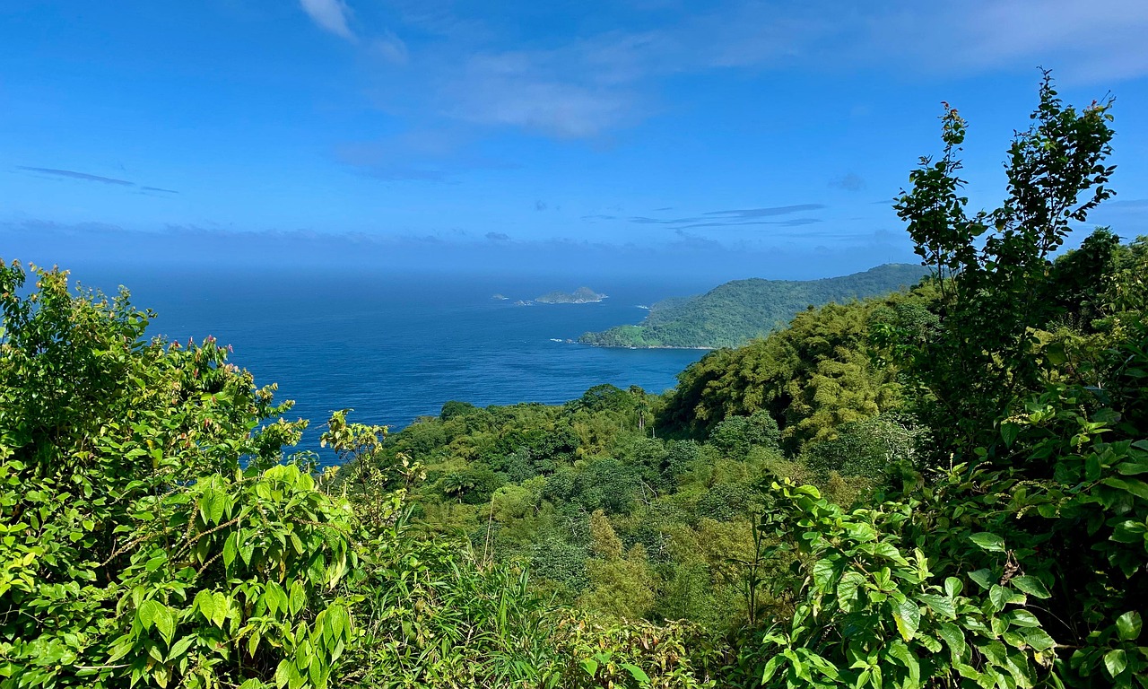 Caraibico Tobago Paesaggio - Foto gratis su Pixabay