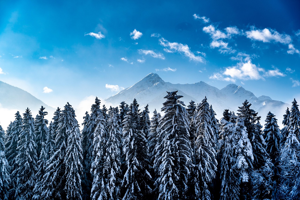 Winter Landscape Nature - Free photo on Pixabay