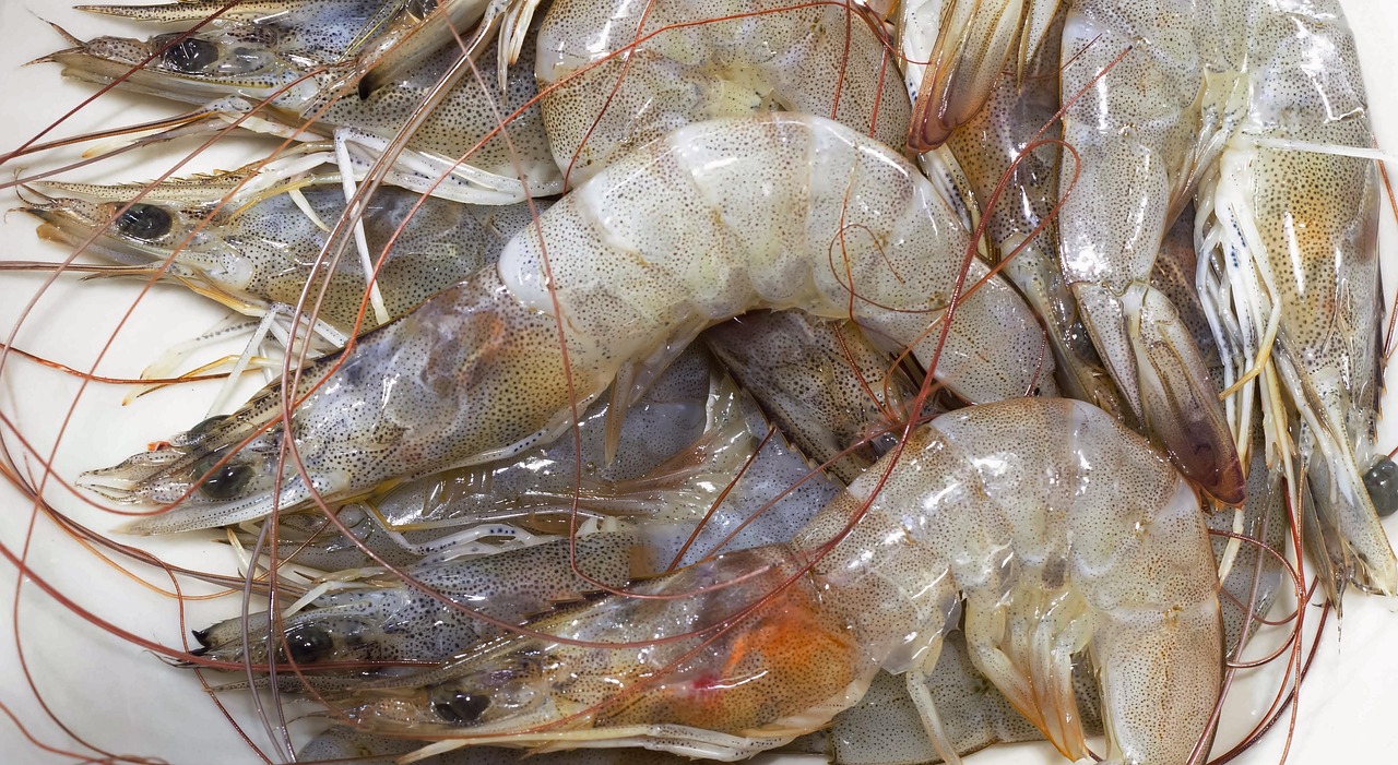 Seafood Shrimp Raw - Free photo on Pixabay