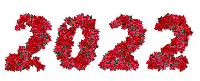 New Year 2022 Festival - Free image on Pixabay