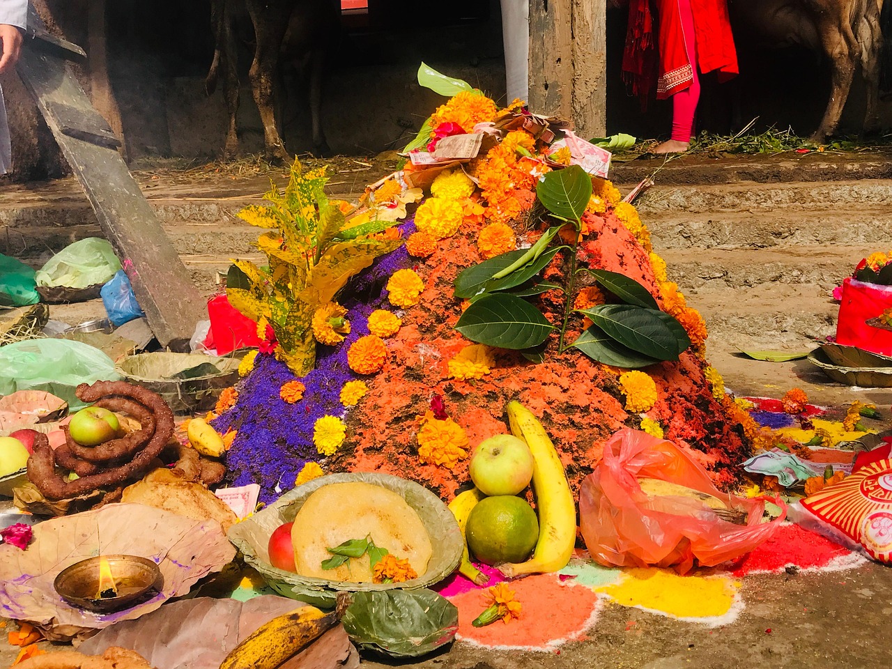 Govardhanpoja Shiva Poja 🕉️ - Gratis foto på Pixabay - Pixabay