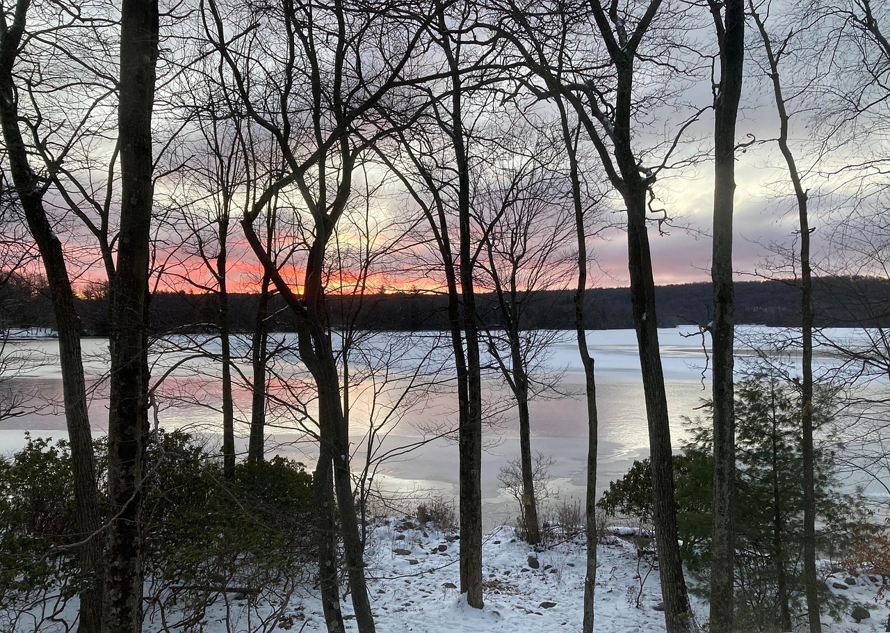Solstice D'Hiver Nature Noël - Photo gratuite sur Pixabay - Pixabay