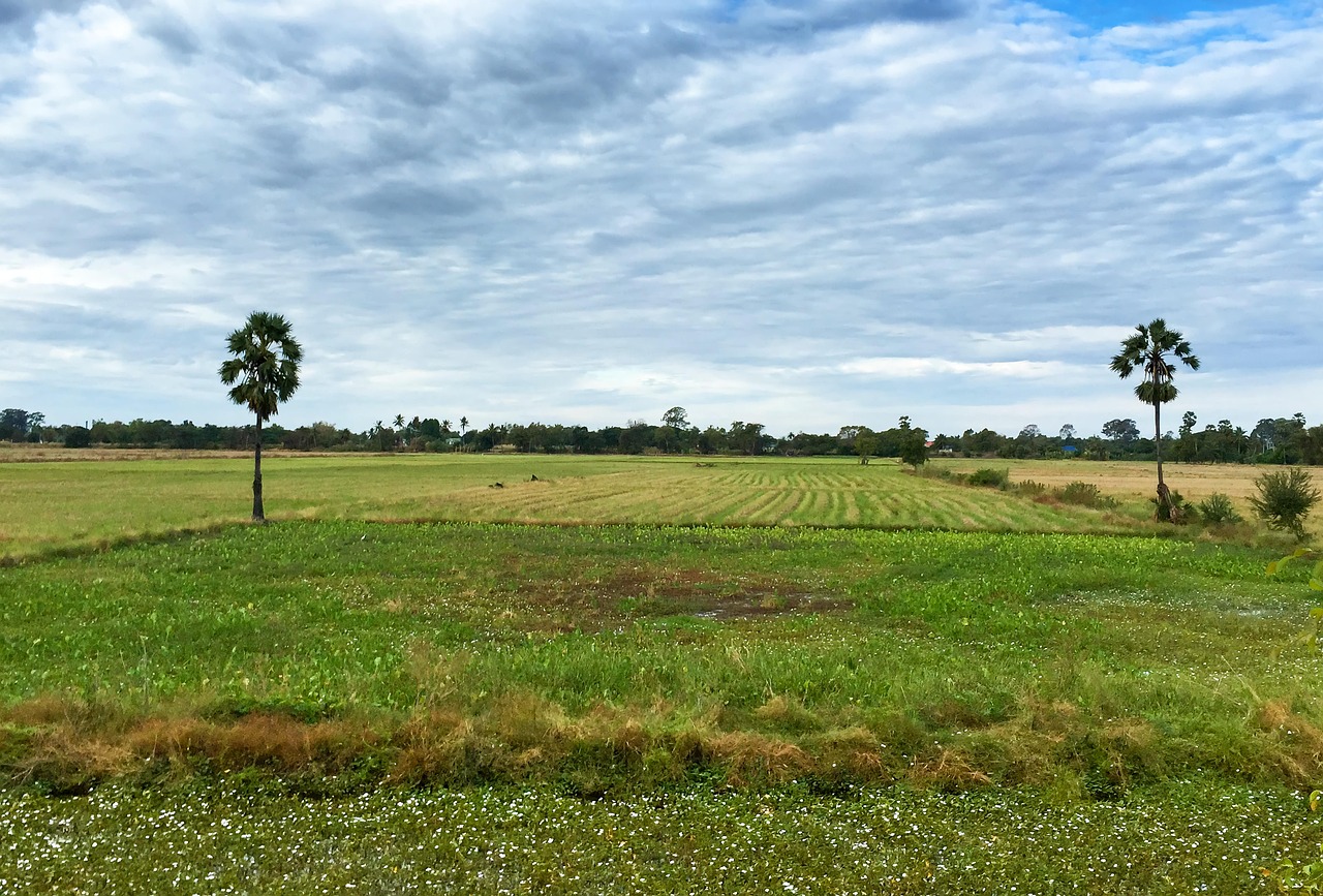 Background Cloud Field - Free photo on Pixabay - Pixabay