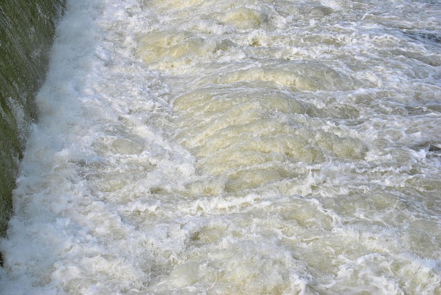 El Agua De La Presa Naturaleza - Foto gratis en Pixabay - Pixabay
