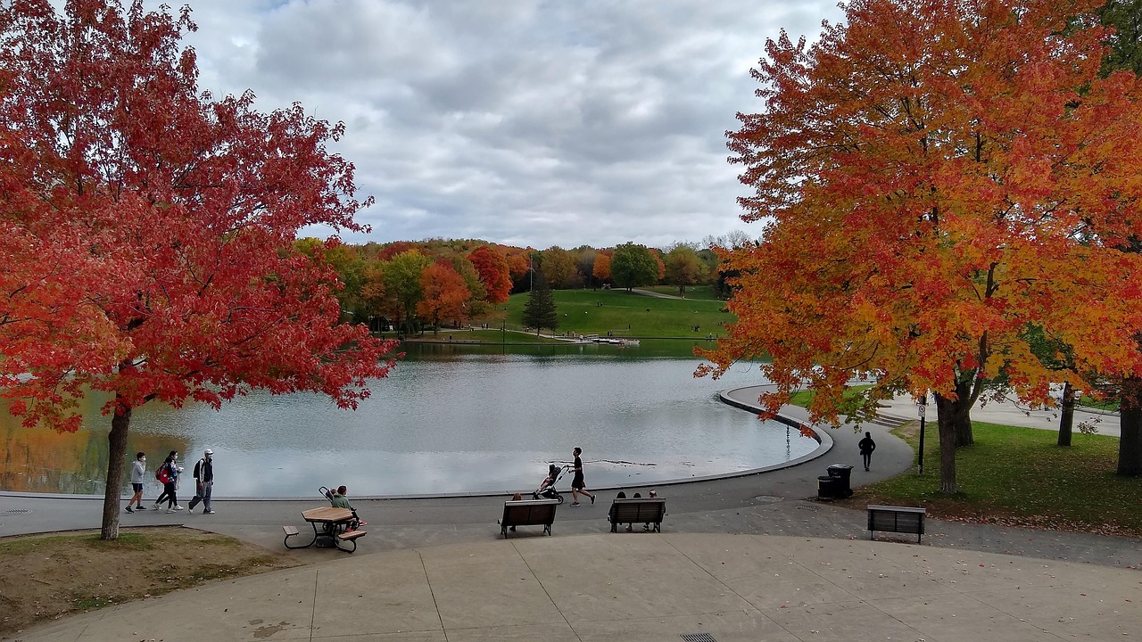Park Trees Lake - Photo gratuite sur Pixabay - Pixabay
