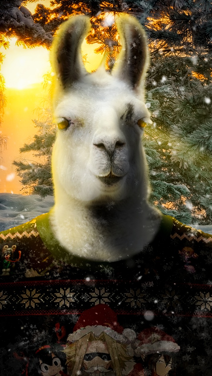 Lama Alpaka Tier - Kostenloses Bild auf Pixabay - Pixabay