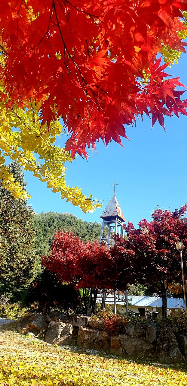 Cross Church Autumn Leaves - Free photo on Pixabay - Pixabay