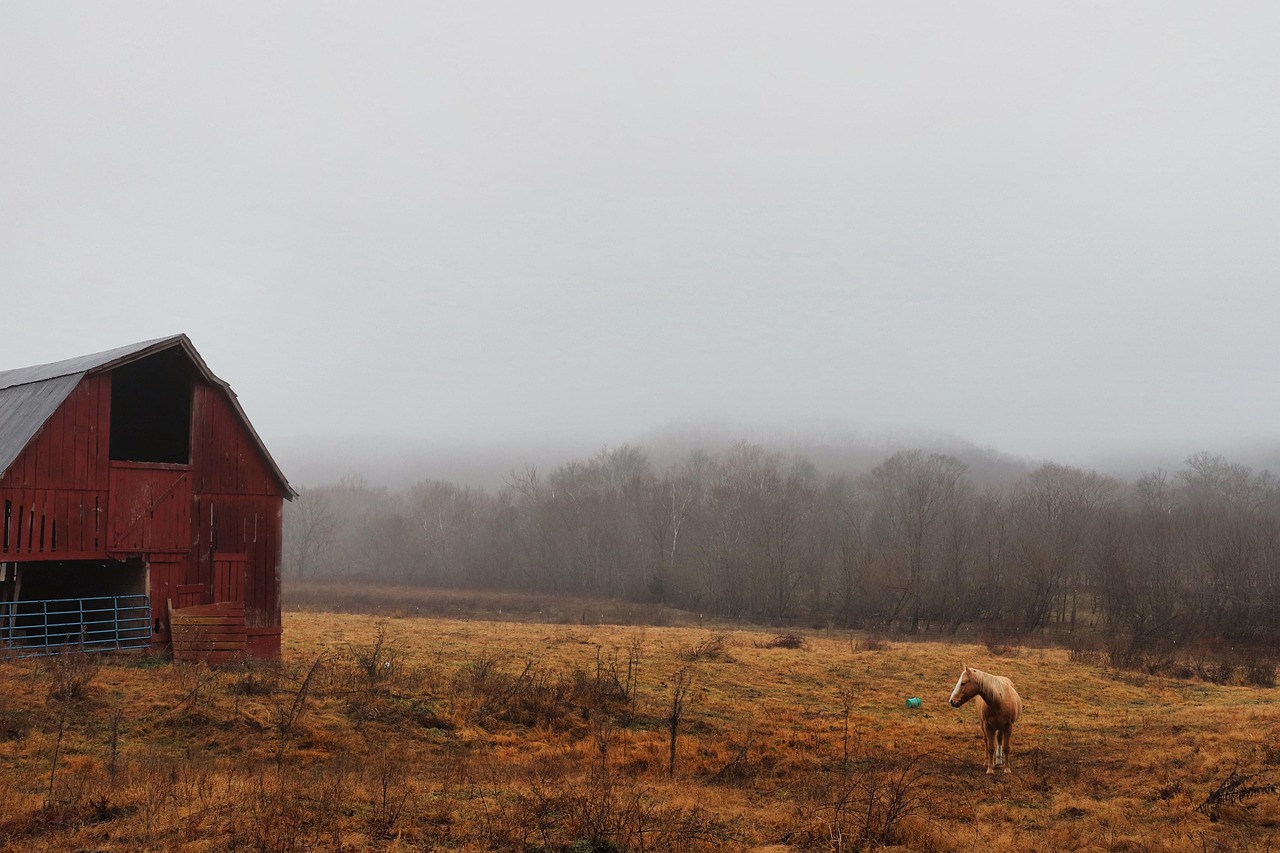 Farm Meadow Countryside - Free photo on Pixabay - Pixabay
