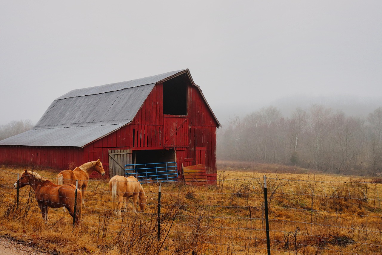 Farm Meadow Countryside - Free photo on Pixabay - Pixabay