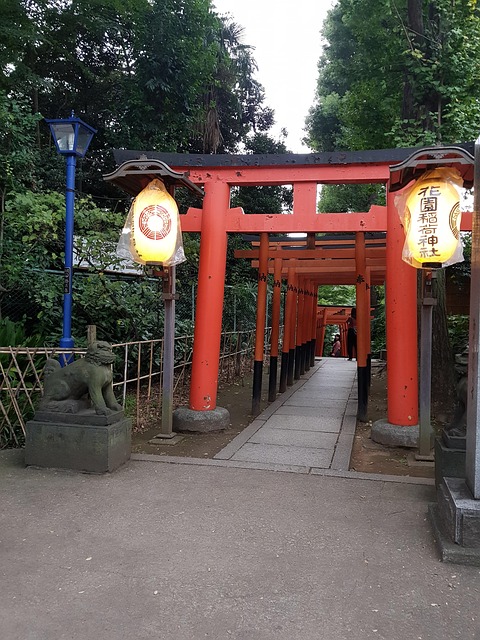 Tori Japan Torii - Free photo on Pixabay - Pixabay