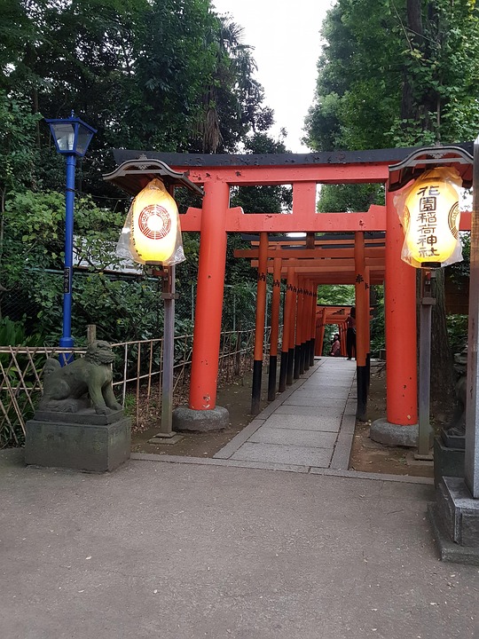 Tori Japan Torii - Free photo on Pixabay - Pixabay