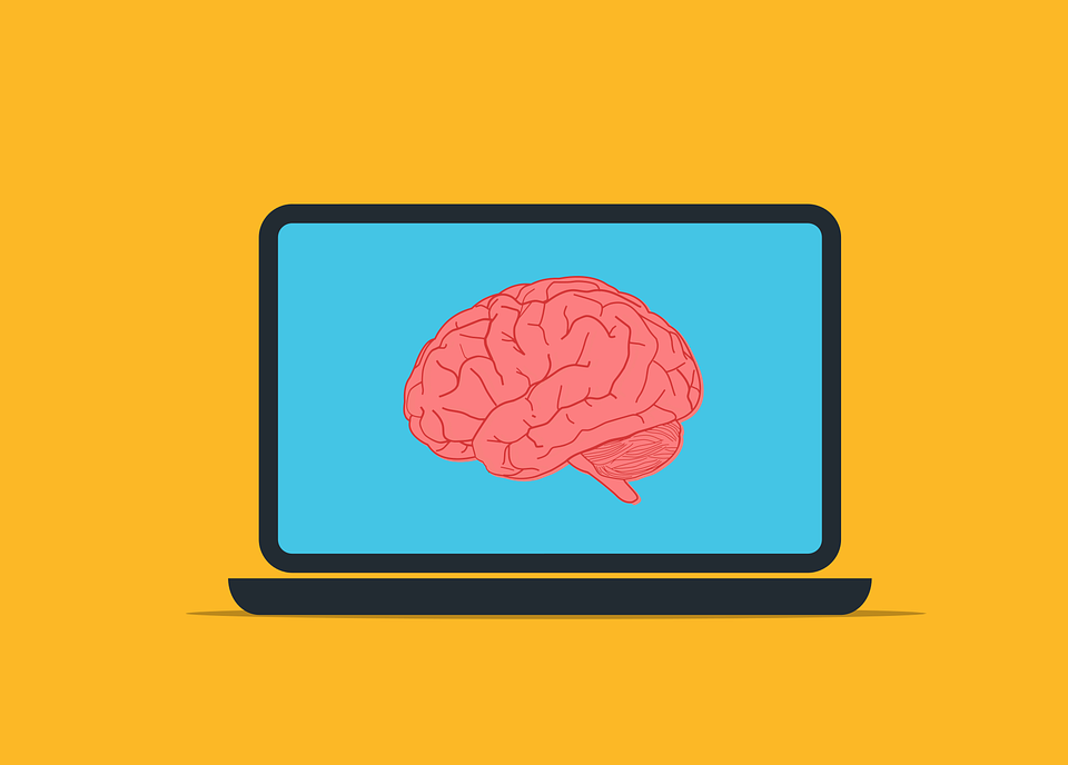 Download Brain, Laptop, Computer. Royalty-Free Vector Graphic - Pixabay