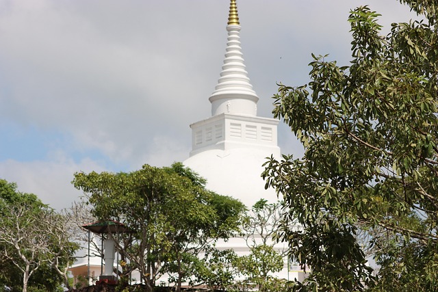 Thanthirimale Raja Maha Vihara - Free photo on Pixabay - Pixabay