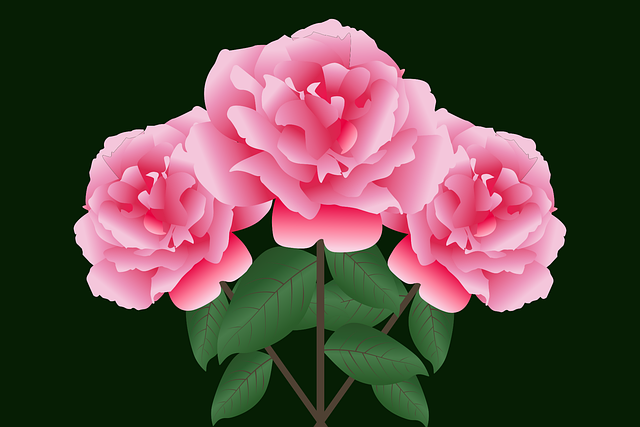 500.000+ Gambar Bingkai Bunga Png & Png Gratis - Pixabay
