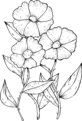 300+ Free Flower Line Drawing & Flowers Illustrations - Pixabay