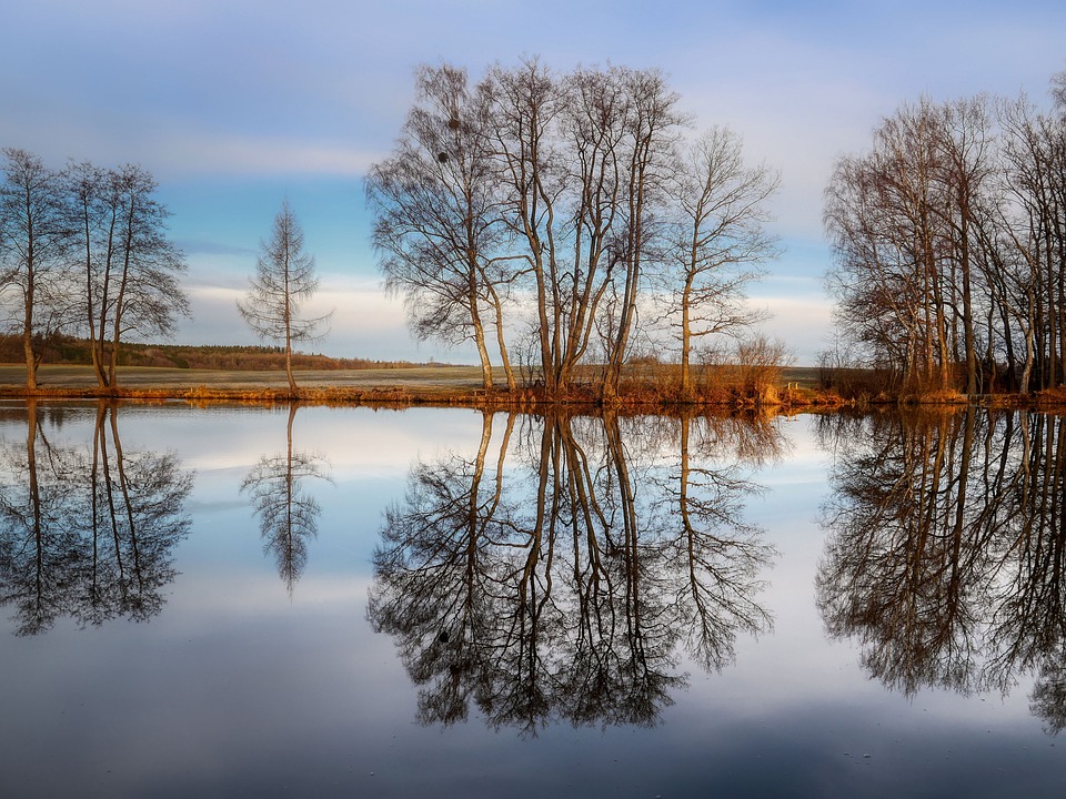 Riverbank Trees Nature - Free photo on Pixabay