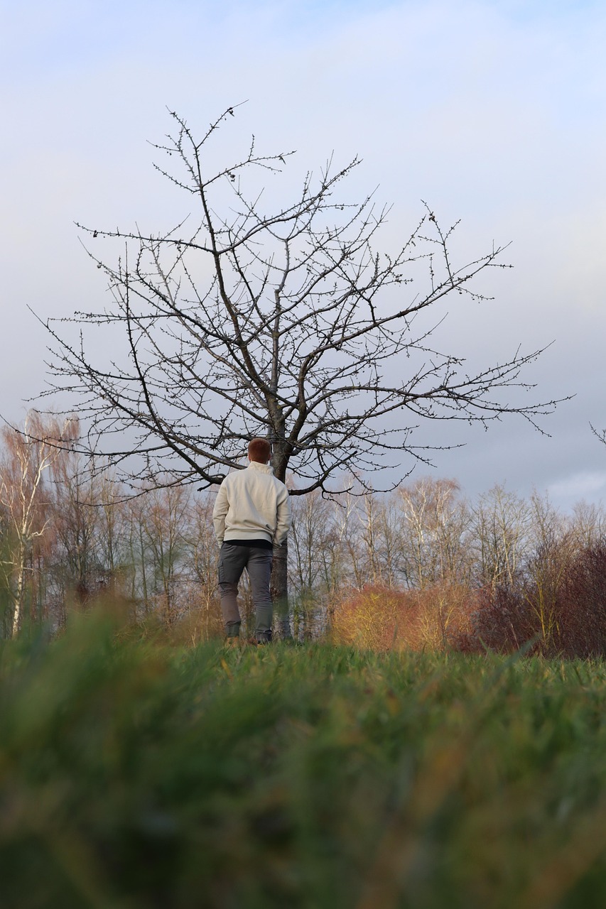 Man Tree Meadow Free Photo On Pixabay Pixabay