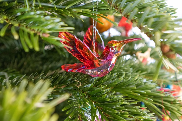 Bird Christmas Tree - Free photo on Pixabay