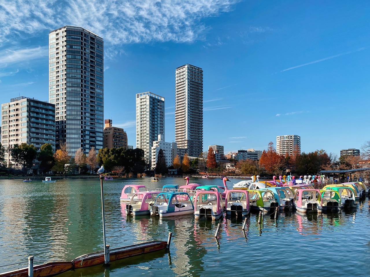 Shinobazu Pond Ueno Park Taito - Free photo on Pixabay - Pixabay