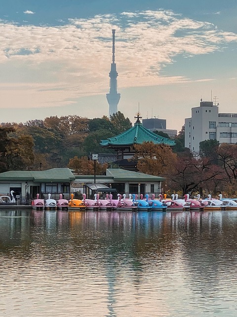 Shinobazu Pond Ueno Park Taito - Free photo on Pixabay - Pixabay