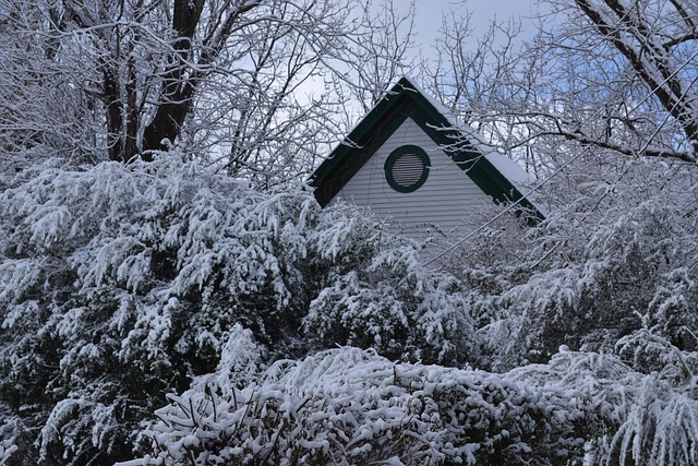 Winter Snow Virginia - Free photo on Pixabay - Pixabay