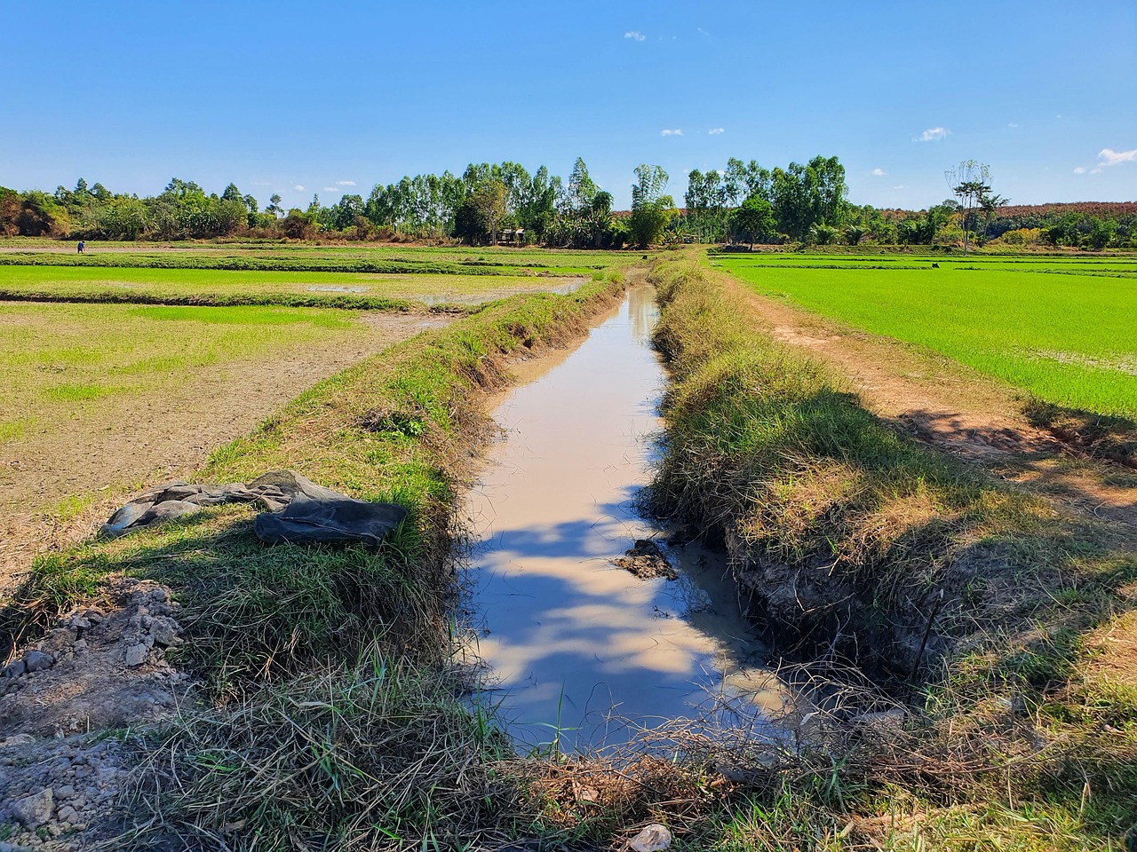 Field Waterway Countryside - Free photo on Pixabay - Pixabay