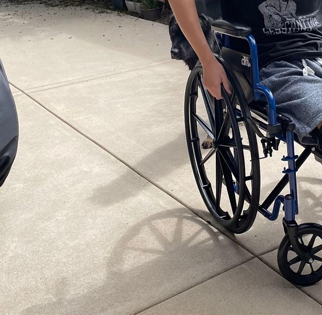 Wheelchair Handicap Handicapped - Free photo on Pixabay - Pixabay