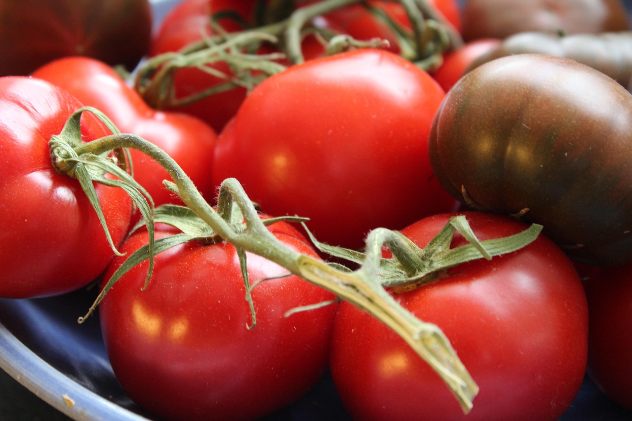 Tomates Verduras Comida - Foto gratis en Pixabay - Pixabay